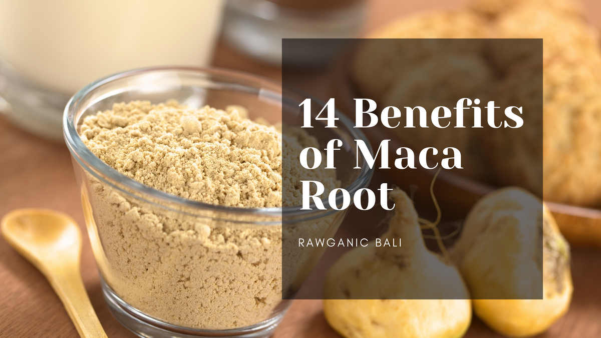 14 Benefits of Maca Root – rawganic